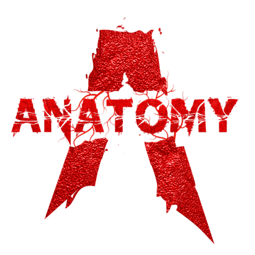 ANATOMY EP 237 | anatomyfour.com